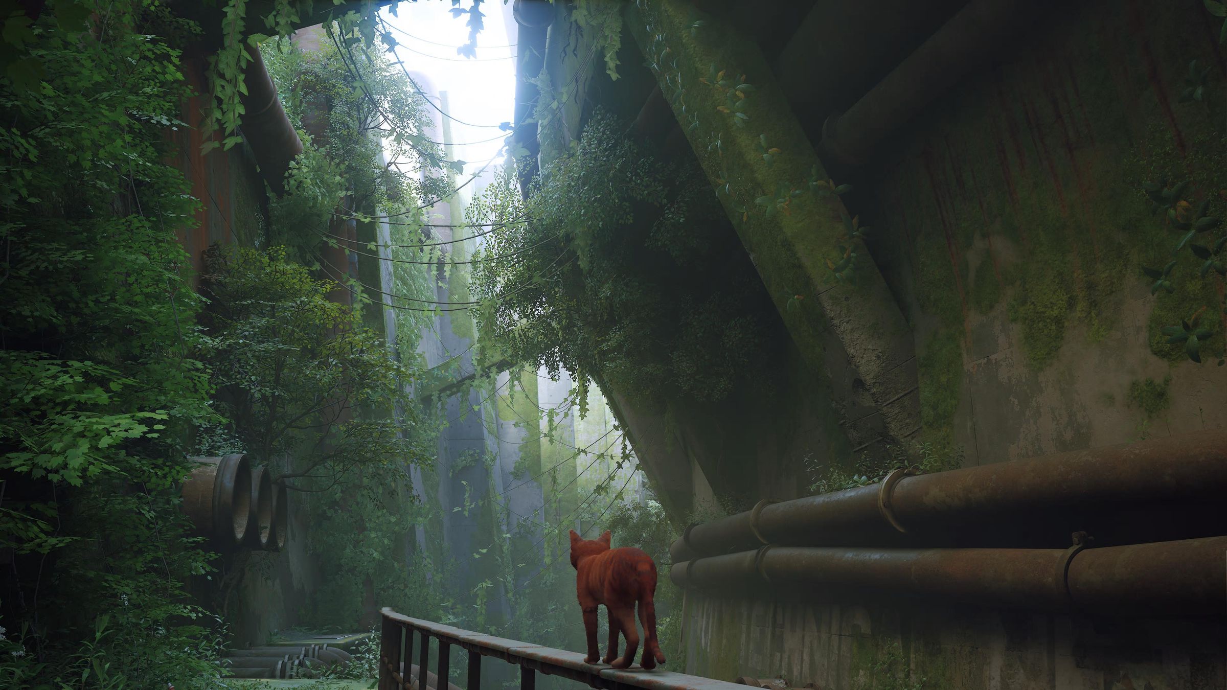 Stray Game Review: A Breath of Fresh Air